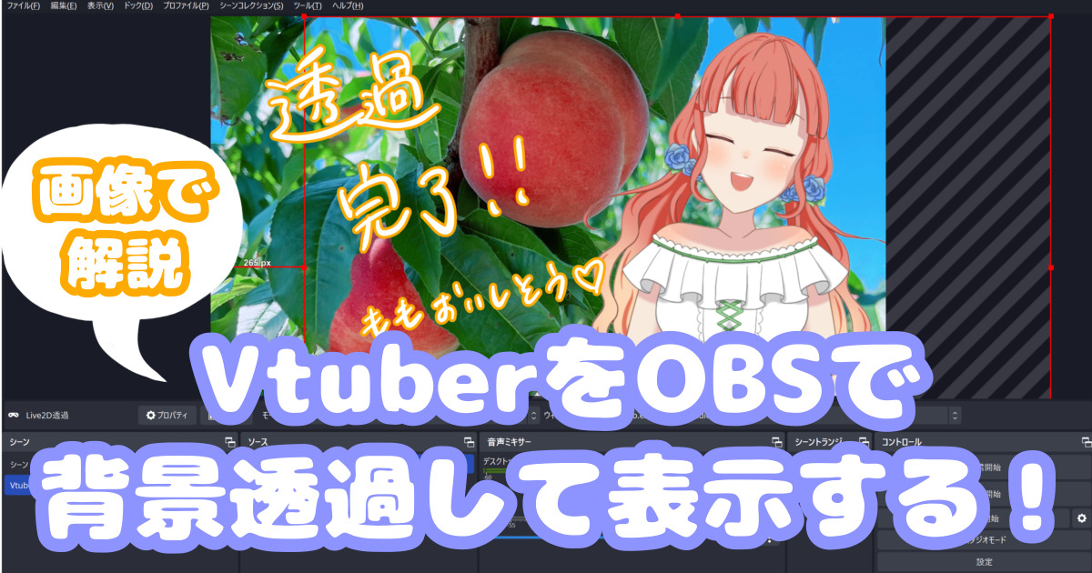 OBSでVtubeStudioのVtuberを背景透過して表示する方法｜あずきのVtuber工房
